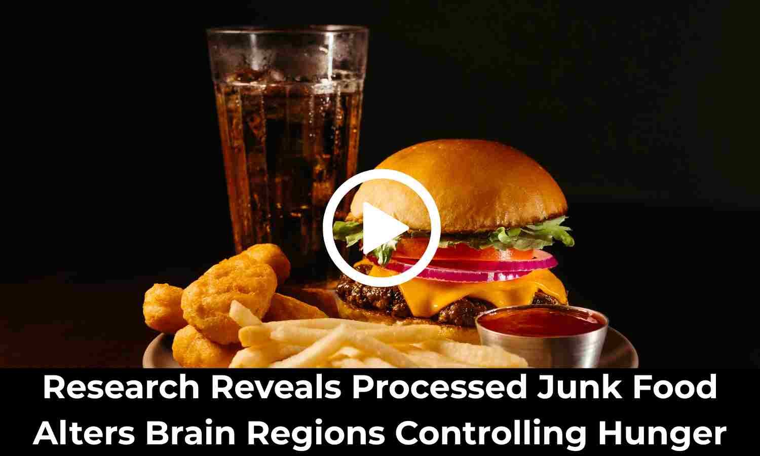Research Reveals Processed Junk Food Alters Brain Regions Controlling ...