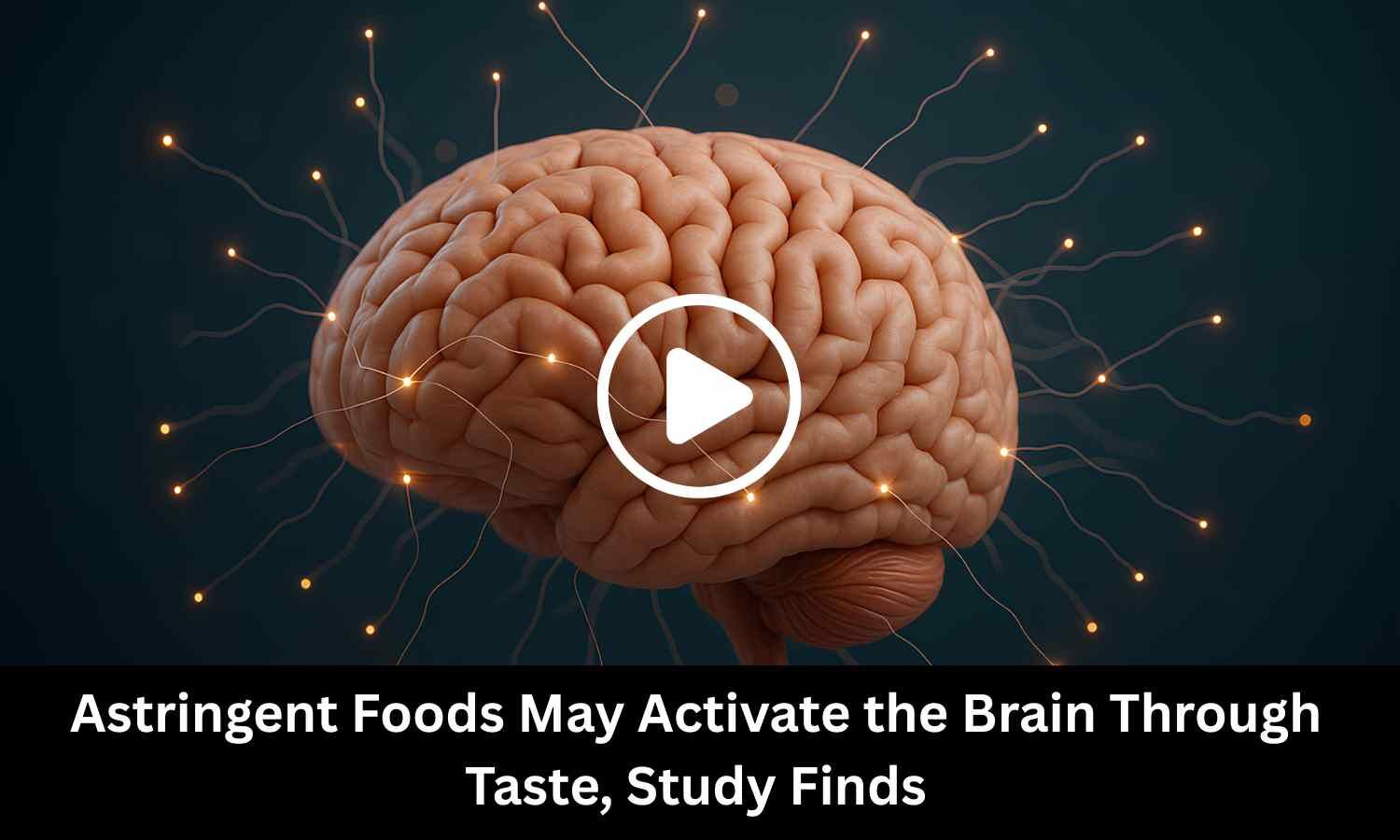 Astringent Foods May Activate the Brain Through Taste, Study Finds