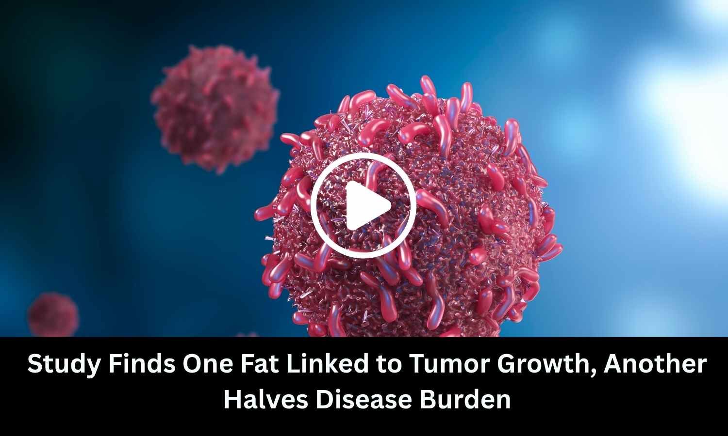 Study Finds One Fat Linked to Tumor Growth, Another Halves Disease Burden